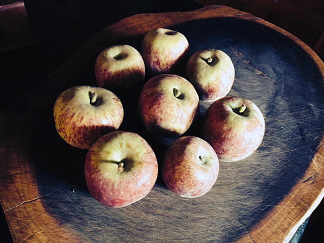 Countdown to Mexico » Blog Archive » Let’s buy our local Mexican apples